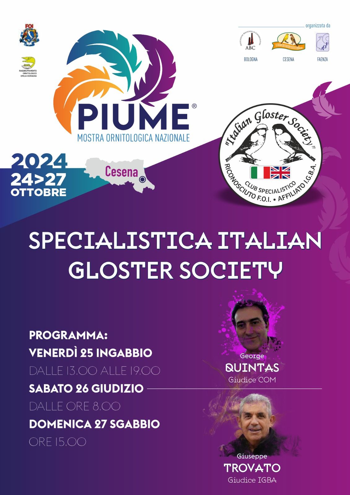 Mostre IGS 2024-25 - Italian Gloster Society